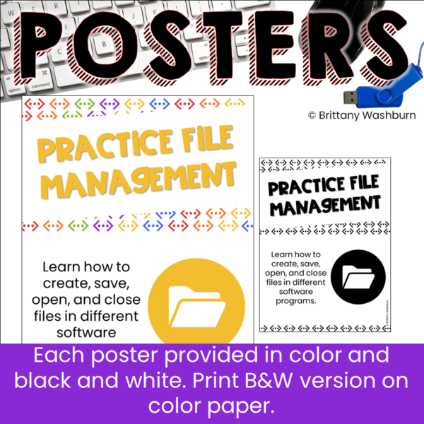 Computer Software & Operating Systems Strategies Posters