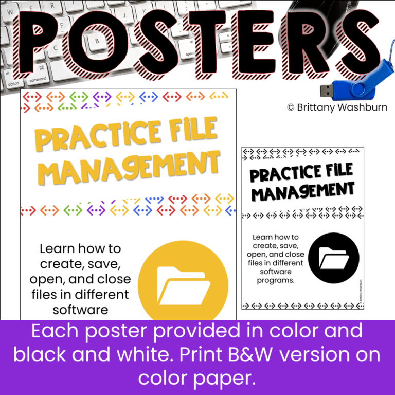 Computer Software & Operating Systems Strategies Posters